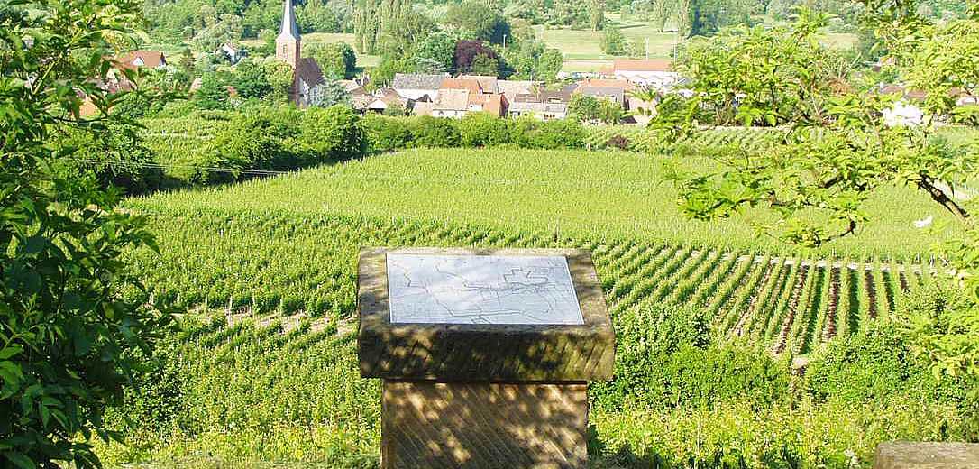 Lagenstein - Forst / Pfalz Sehenswürdigkeiten - Weinlagen | Forst/Pfalz